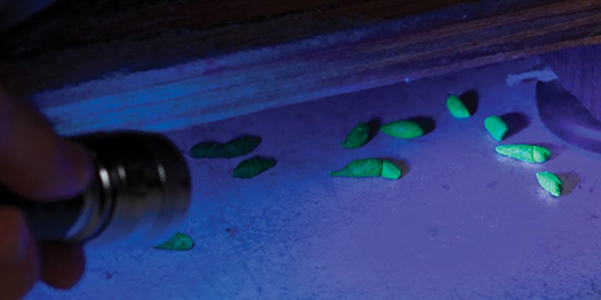 Product - DETEX BLOX With Lumitrack