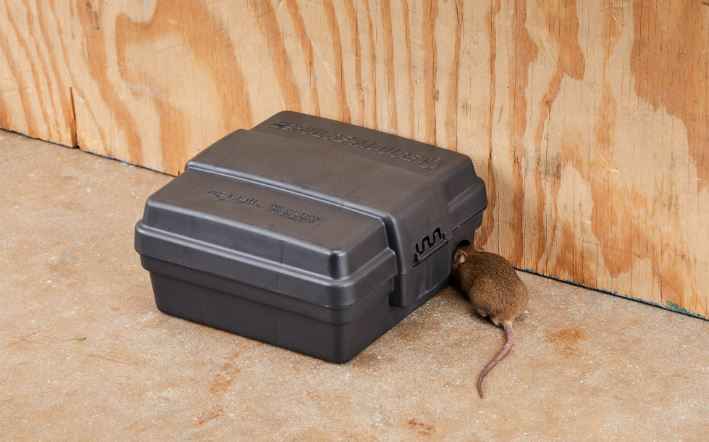 Product - Pulse Mouse iQ