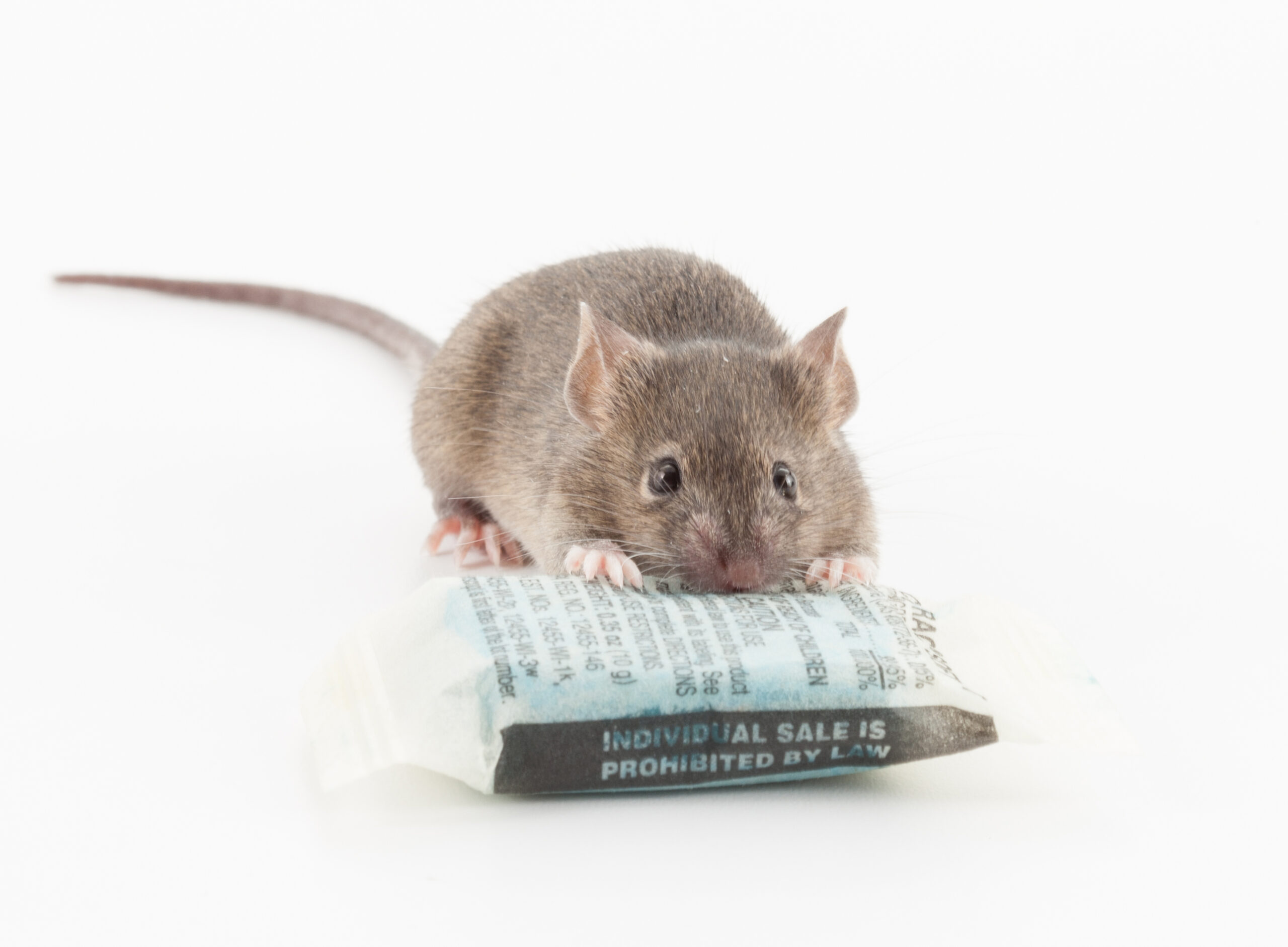 Product - CONTRAC Soft Bait