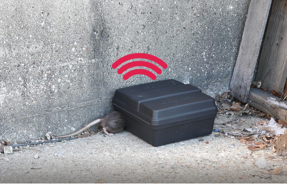 Product - Pulse Rat iQ