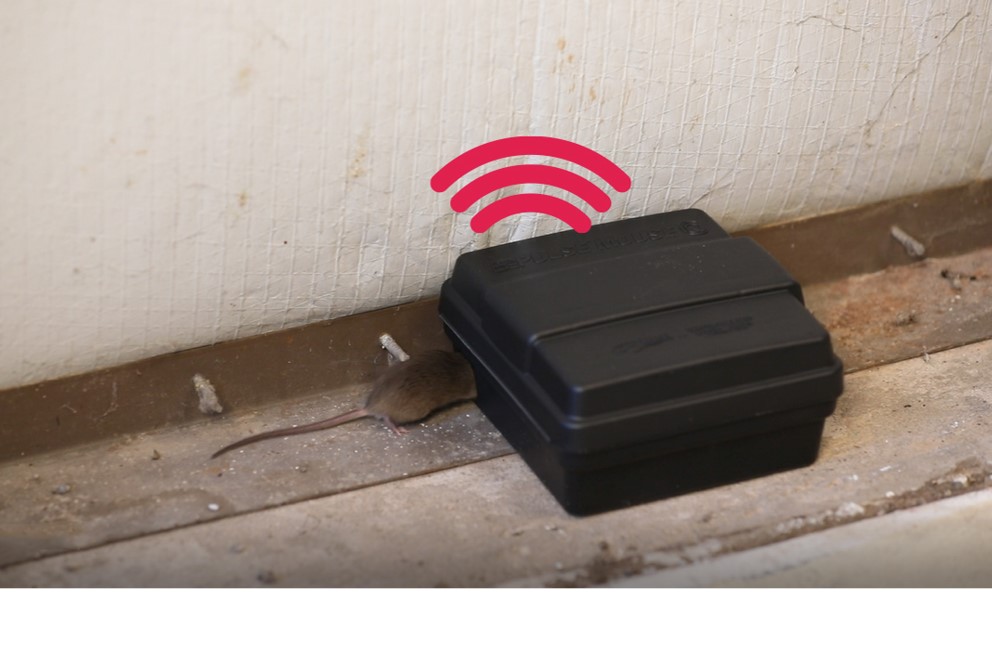 Product - Pulse Mouse iQ