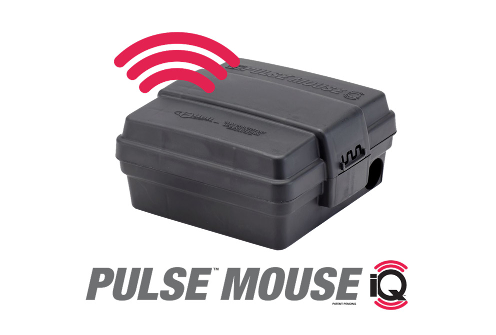 Product - Pulse Mouse iQ